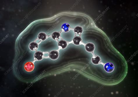 Serotonin Illustration Stock Image C0570683 Science Photo Library