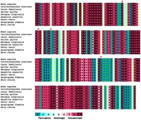 The Colour Coding Bar Shows The Colouring Scheme Conserved Amino Download Scientific Diagram