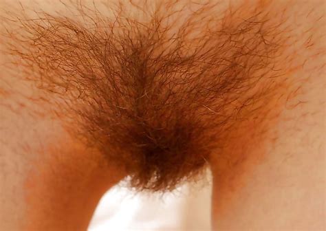 Brenda Porn Pictures Xxx Photos Sex Images 1646140 Pictoa