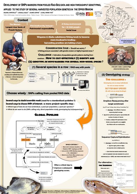 Pdf Development Of Snps Markers From Pooled Rad Seq Data And High Throughput Genotyping