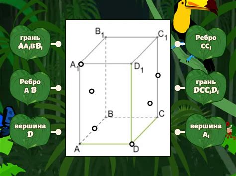 Паралелепіпед Labelled Diagram