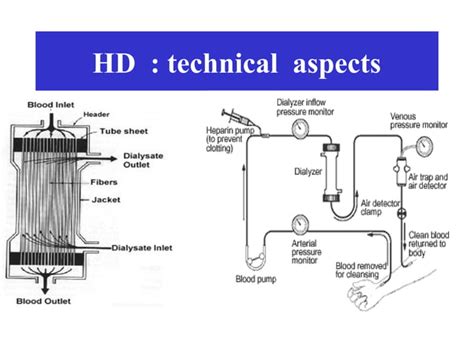 Crf Ppt With Explanation And Details Ppt Ppt