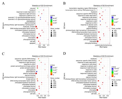 Ijms Free Full Text Comparative Physiological And Transcriptome