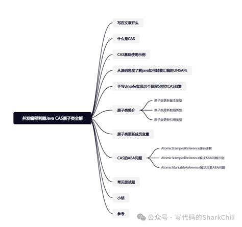并发编程利器java Cas原子类全解java中cas的类有哪些 Csdn博客