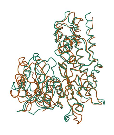 Illuminating Protein Conformational Landscapes In The Pdb Archive