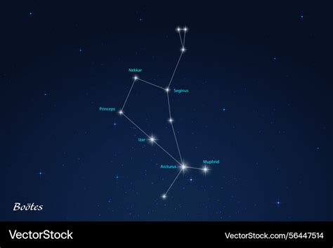 Bootes Constellation With Star Names In Night Sky Vector Image