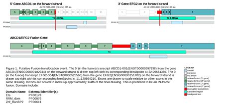 Converting Svg To Png Using Imagemagick 654 Text Not Displayed On