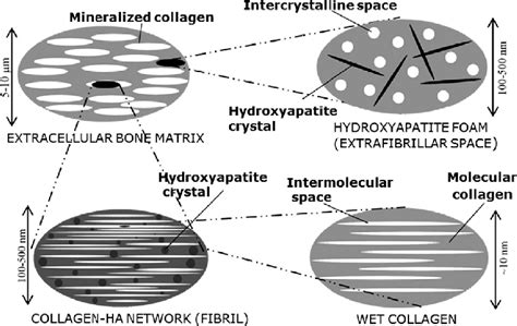 Four Step Homogenization Scheme After Vuong And Hellmich 2011 And