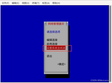 0x03 在debian12 0中部署bind9实现从dns服务【base bind9 debian12 vsphere】 debian12 bind9 csdn博客