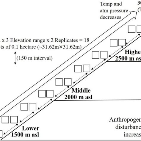 Variance Components Of Plant Traits Leaf And Stem Traits Based On