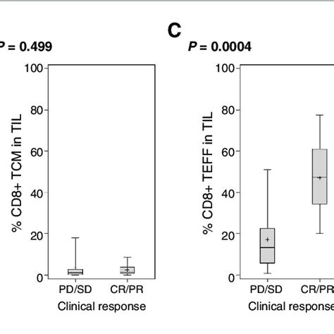 Comparison Of Cd8 þ T Cell Memory Phenotype In Responders And