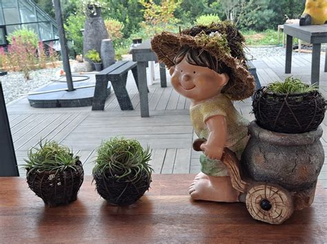 Cafe 다육 플라워데코