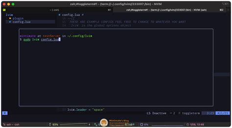 Linux上配置LunarVim快速初始化Neovim让你的文本编辑更加清爽和强大 雨月空间站