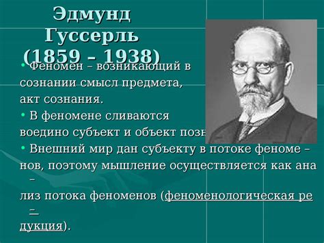 Феноменология Философия психоанализа презентация онлайн