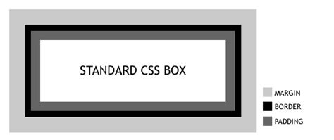 CSS Box Model Tutorial Dreamweaver Club