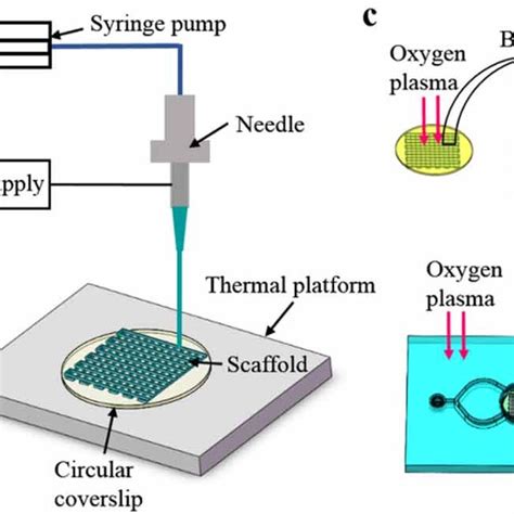 Schematic Of Fabrication Processes Of The Microfluidic Device A Download Scientific Diagram