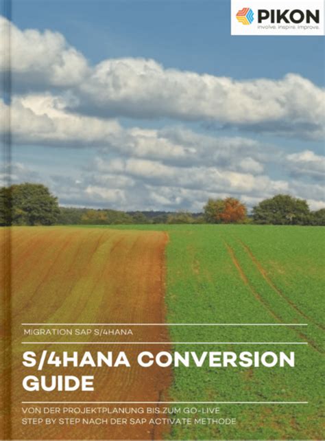 sap s 4hana conversion guide pikon sap consulting international