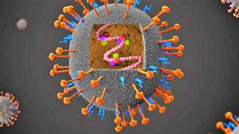 Nipah Virus Precautions ନିପା ଭାଇରସ ଦୂର ପାଇଁ ସଚେତନତା ଜରୁରୀ Nipah Virus