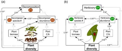 Decomposer Plants