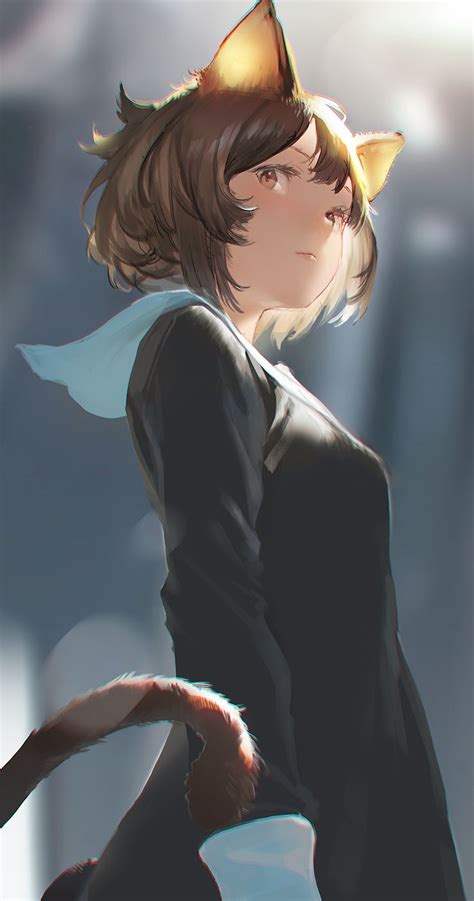 Nekogirl With Cat Ears And Tail Anime Art [artist Mogumo] Original