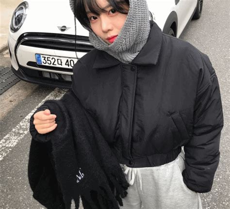 Blimpy Crop Short Padding 블림피 크롭 숏 패딩 에이블리
