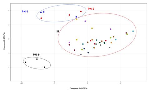 Pca Scores Plot Of The Different Samples Of P Nigrum L From Different