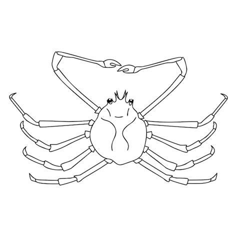 Premium Vector Spider Crab Outline Illustration On White Background