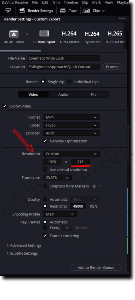 DaVinci Resolve Change Aspect Ratio Vertical Portrait