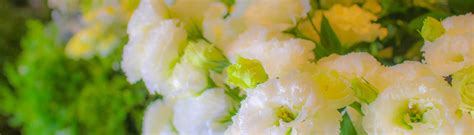 黄土漢方よもぎ蒸し 北九州にある肌質改善ハーブピーリングサロン 白雲木／hakuunboku