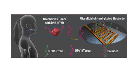 Microfluidic Based Genosensor To Detect Human Papillomavirus Hpv16