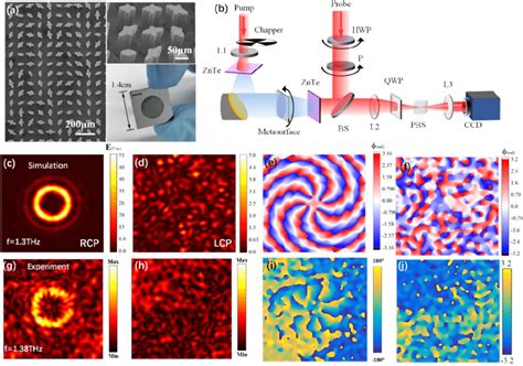 Spin Selective Wavefront Control Of Transmitted Terahertz Wave Using