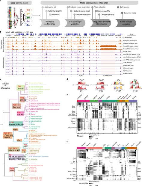 Application And Interpretation Of The Deep Learning Model Framework A