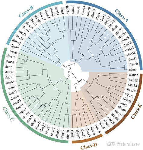 Matlab 绘图复刻十五 环形聚类树状图 知乎