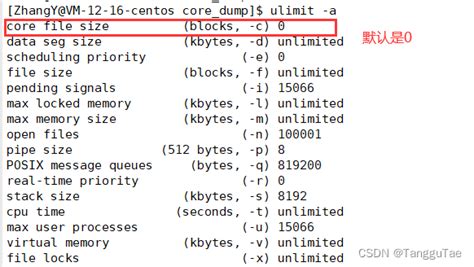 核心转储core dump plc a core dump csdn博客