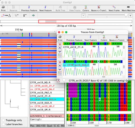 Sequence Alignment Software CodonCode Aligner For DNA Chromatogram Files