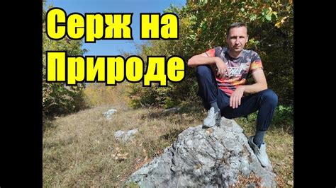 Прогулка на природе Youtube