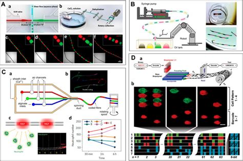 Microfluidic Formulation Of Topological Hydrogels For Microtissue