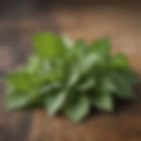 Crafting Catnip Cat Treats A Complete Guide