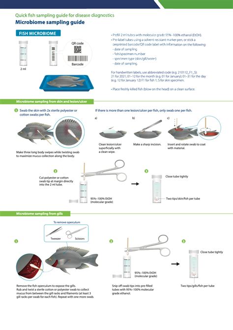 Biological Fish Sampling At Phillip Pusey Blog