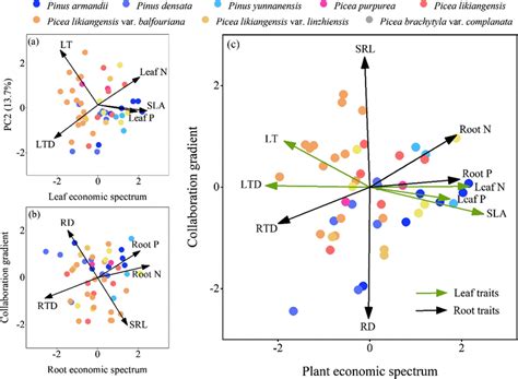 Principal Component Analysis Of Leaf Traits A Root Traits B And Download Scientific