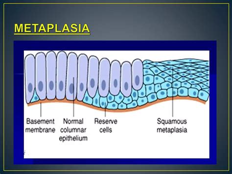 Cellular Adaptations Pptx