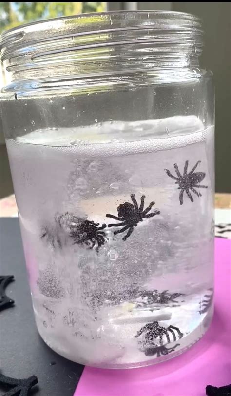 dancing spider experiment abcdee learning