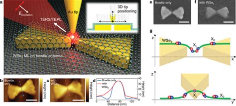 Paper 2021 Inducing And Probing Localized Excitons In Atomically Thin Semiconductors Via Tip