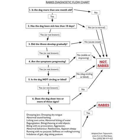 Rabies Spotting Signs And Disease Diagnosis