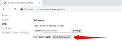 Chrome Net Internals Dns How To Clear The Chrome DNS Cache Tech Pilipinas