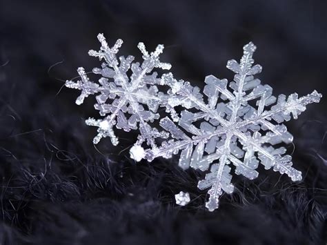 一文详解分布式 Id 知乎