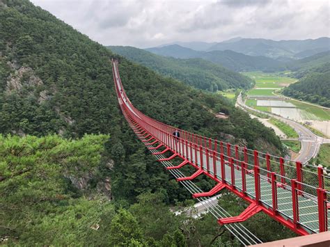 프로젝트 Cablebridge