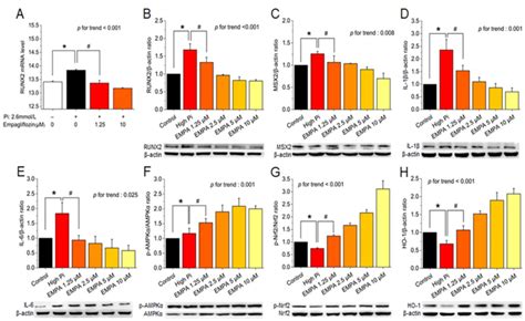 Empagliflozin Attenuated High Phosphate Induced Vc In Movas Cells
