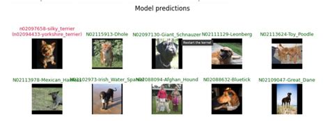 Scott Holden On Linkedin Transfer Learning With Tensorflow On Intel Arc Gpus