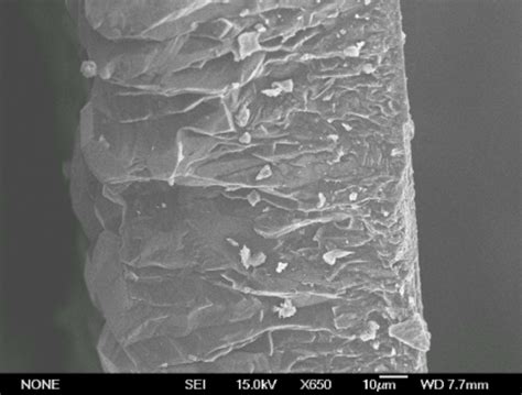Cross Section Image Of The Fsd Film Figure 2 And Figure 3 Showed Sem